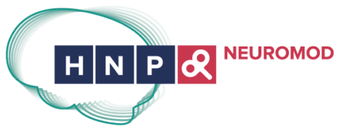 Tutorial: E-field modeling with simNIBS - FCBG Platforms