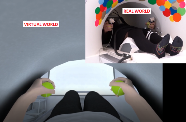 The VR-MRI System - FCBG Platforms